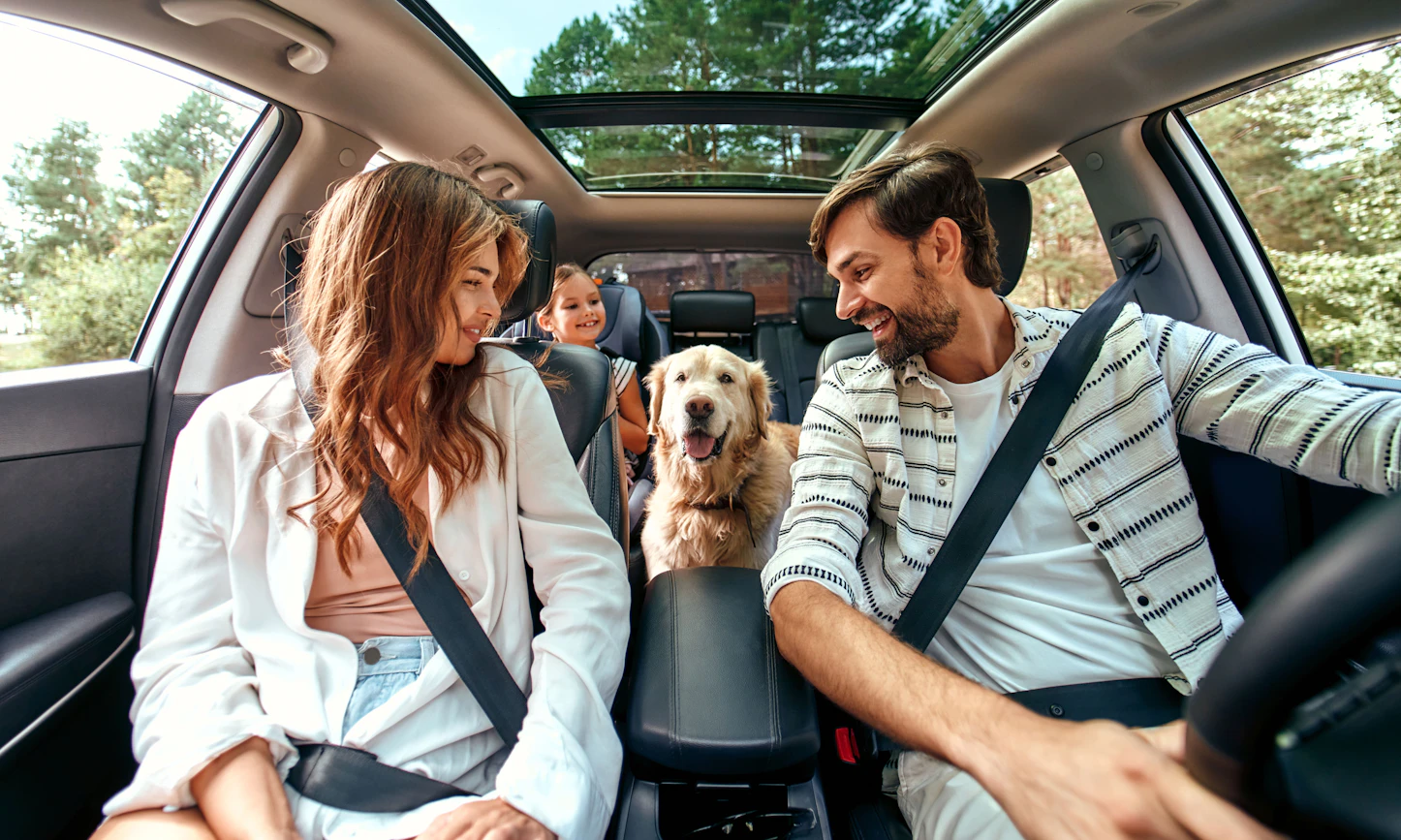 About Go Auto | Edmonton Infiniti